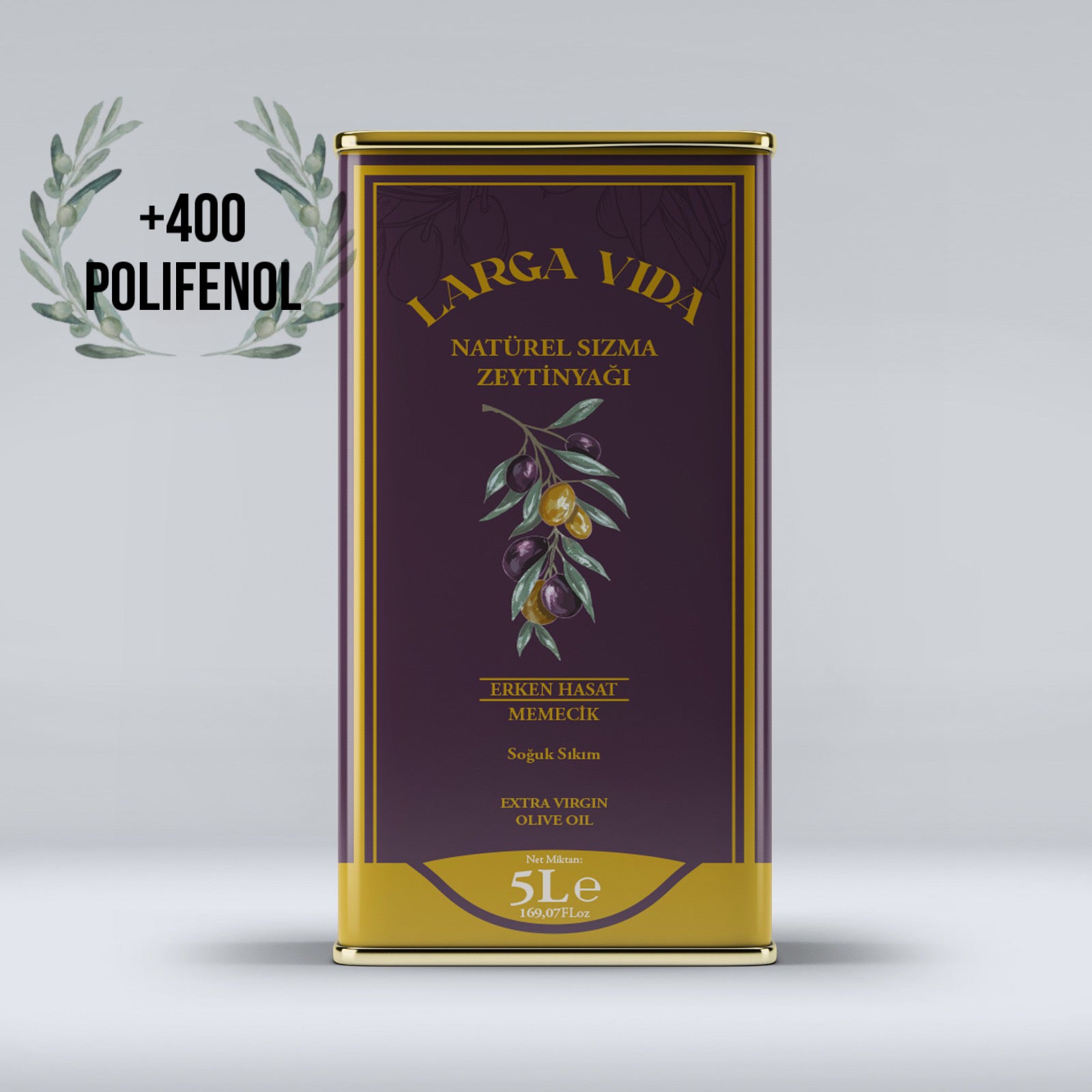 Warrior Notes | Violin