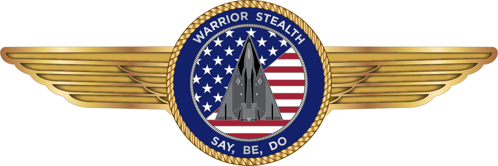 Warrior Stealth - Wings Pin – Warrior Notes